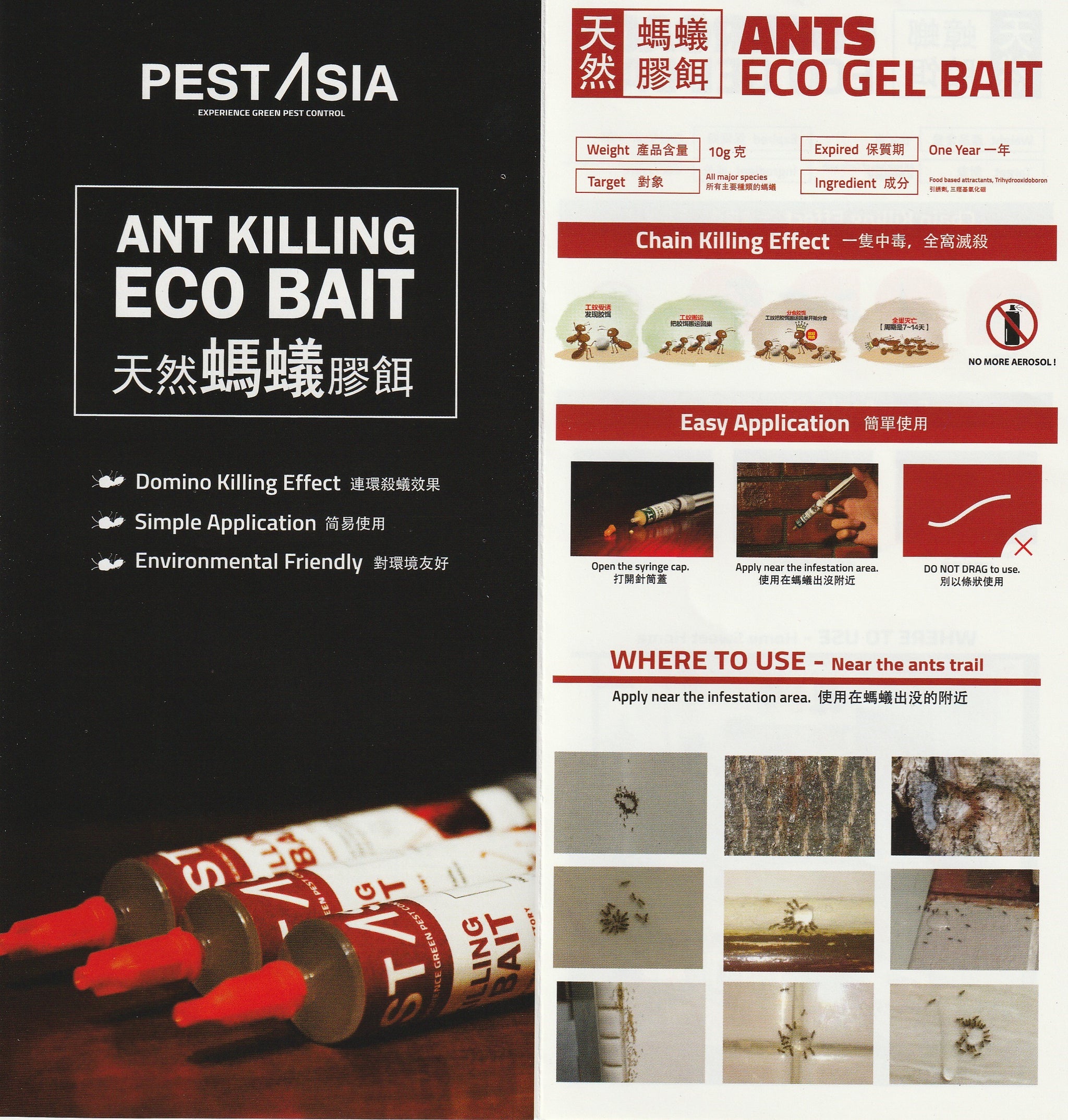 Eco Baits - For Ants & Cockroaches – Savoury Market